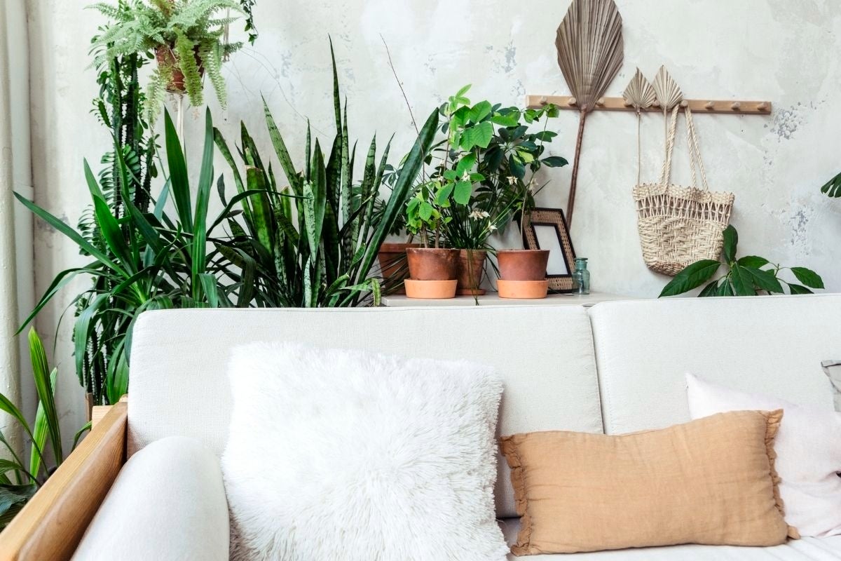 The benefits of biophilic design