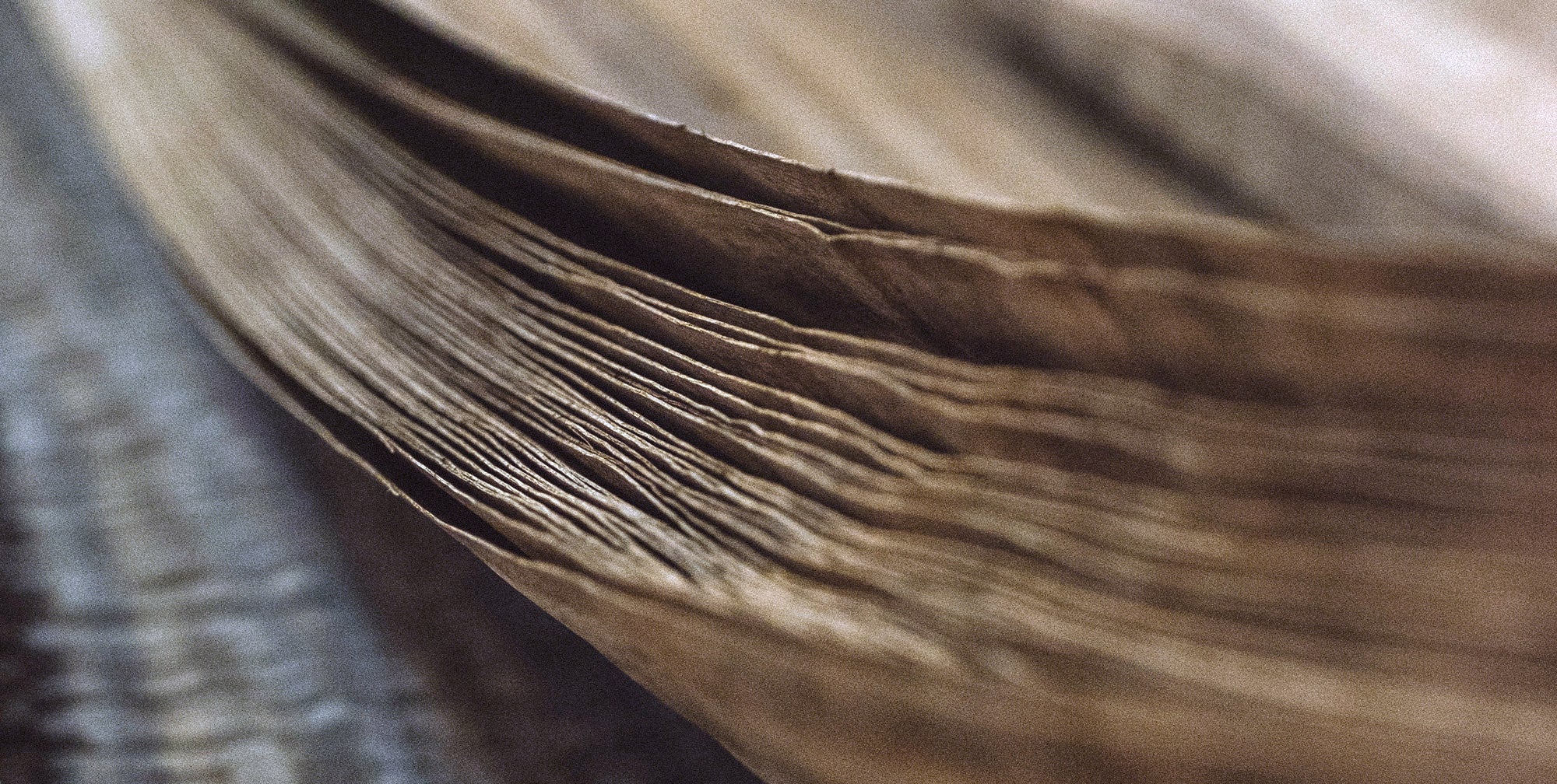 Unser ökologischer Fußabdruck | Decospan