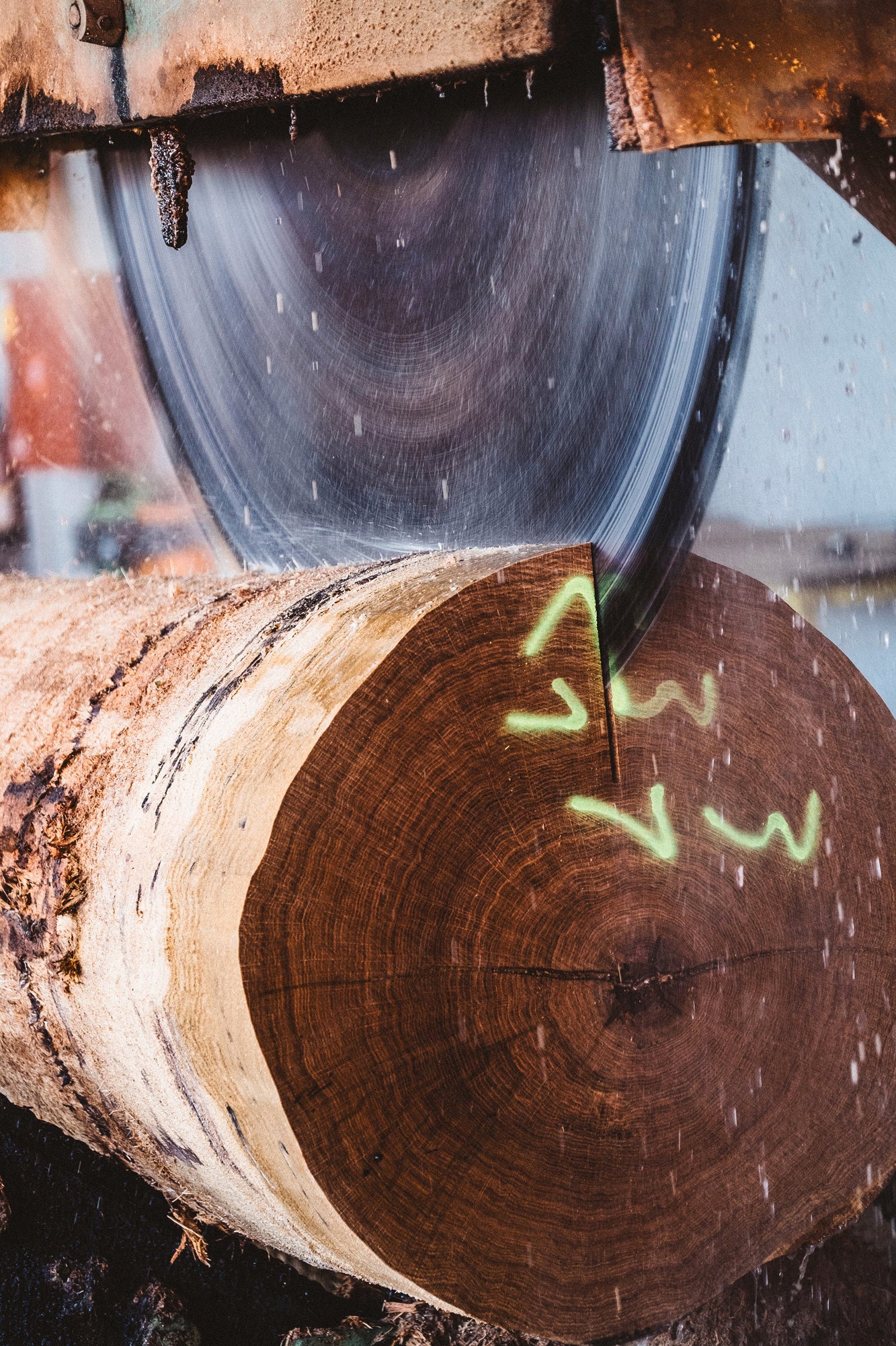 Decospan - Kwaliteitsvol fineerhout