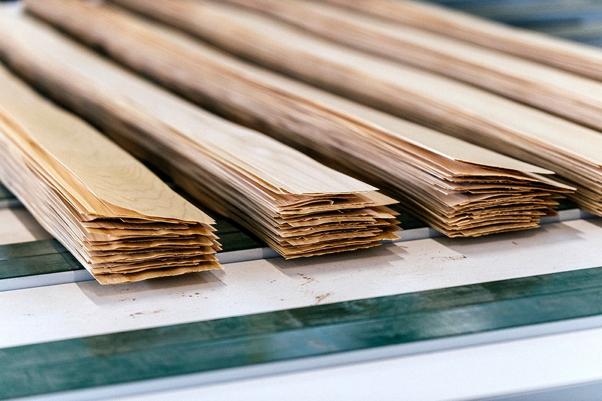 Astrata: Elevate Your Design with Natural Wood Finish